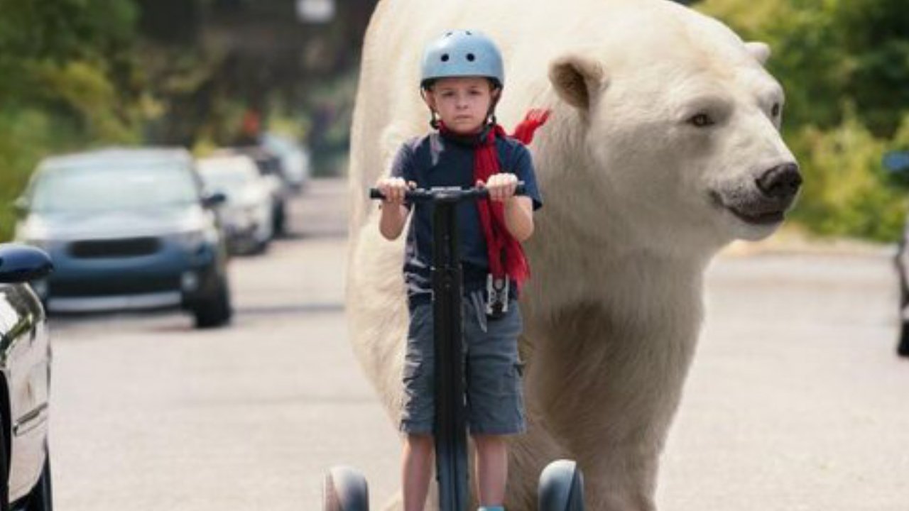 TIMMY FAILURE: MISTAKES WERE MADE - Movieguide | Movie Reviews for ...