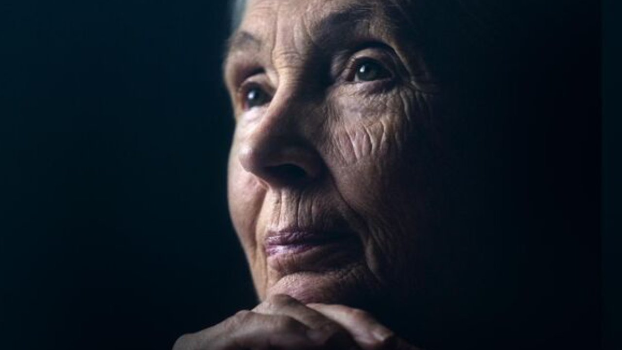 JANE GOODALL: THE HOPE - Movieguide | Movie Reviews for Christians